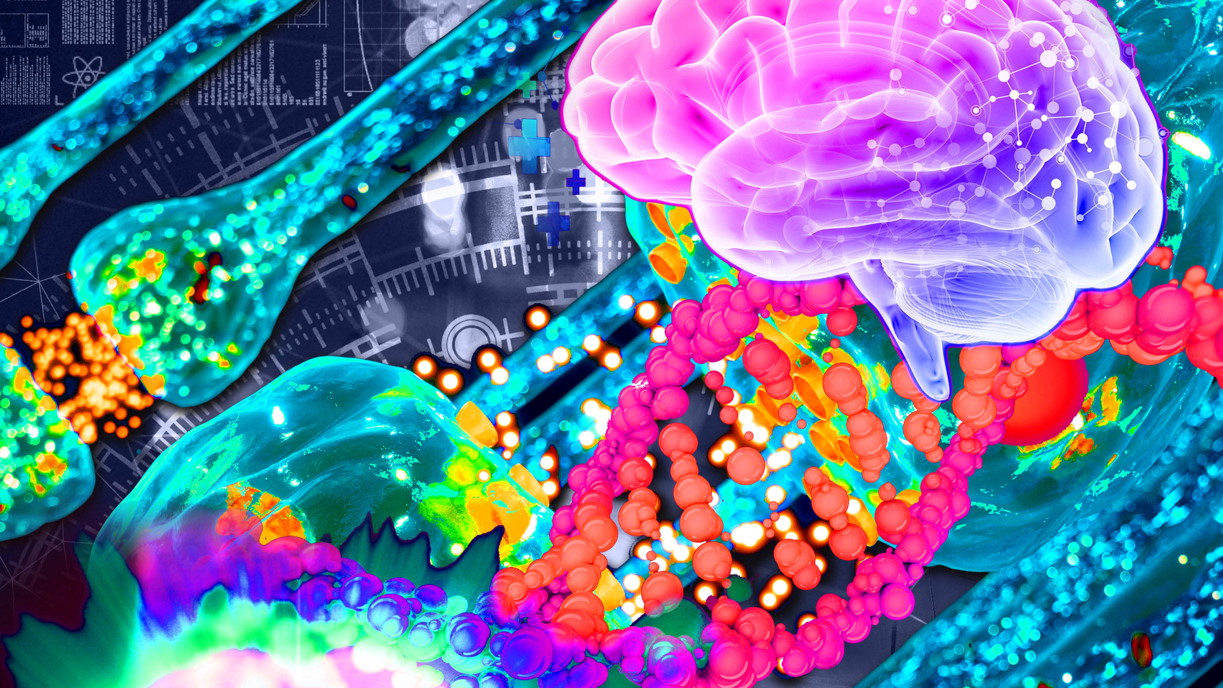 25 Skills for Success | HPG